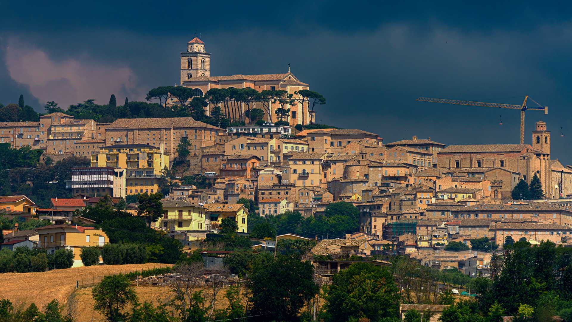 Restauratori d'opere d’arte a Fermo dal 1980